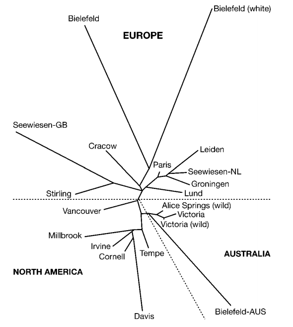 Of mice and birds – what is a zebra finch, really? | Neuroamer