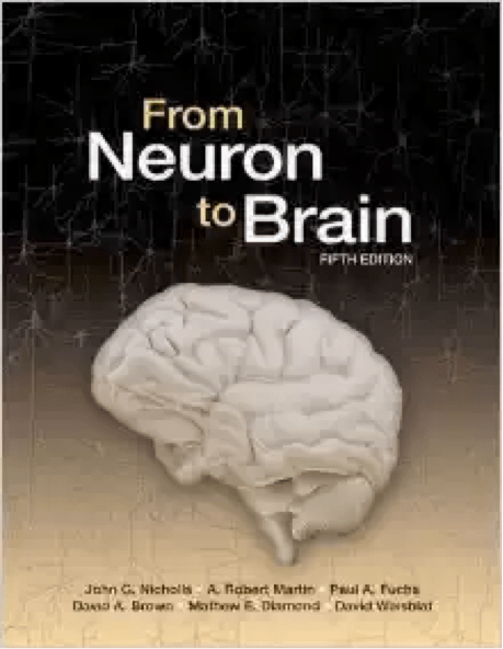 What are the Best Neuroscience Textbooks? Which textbooks do elite ...