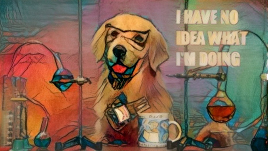 Studying Your Best Friend’s Brain – Dog’s unique role in the study of ...