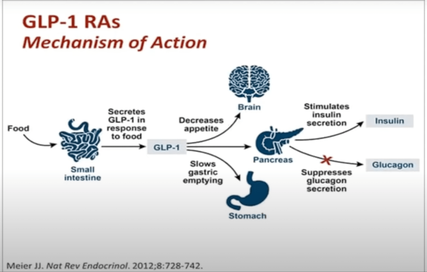 Why is Everyone Talking About the ‘Glutide’ Drugs as a Treatment for ...